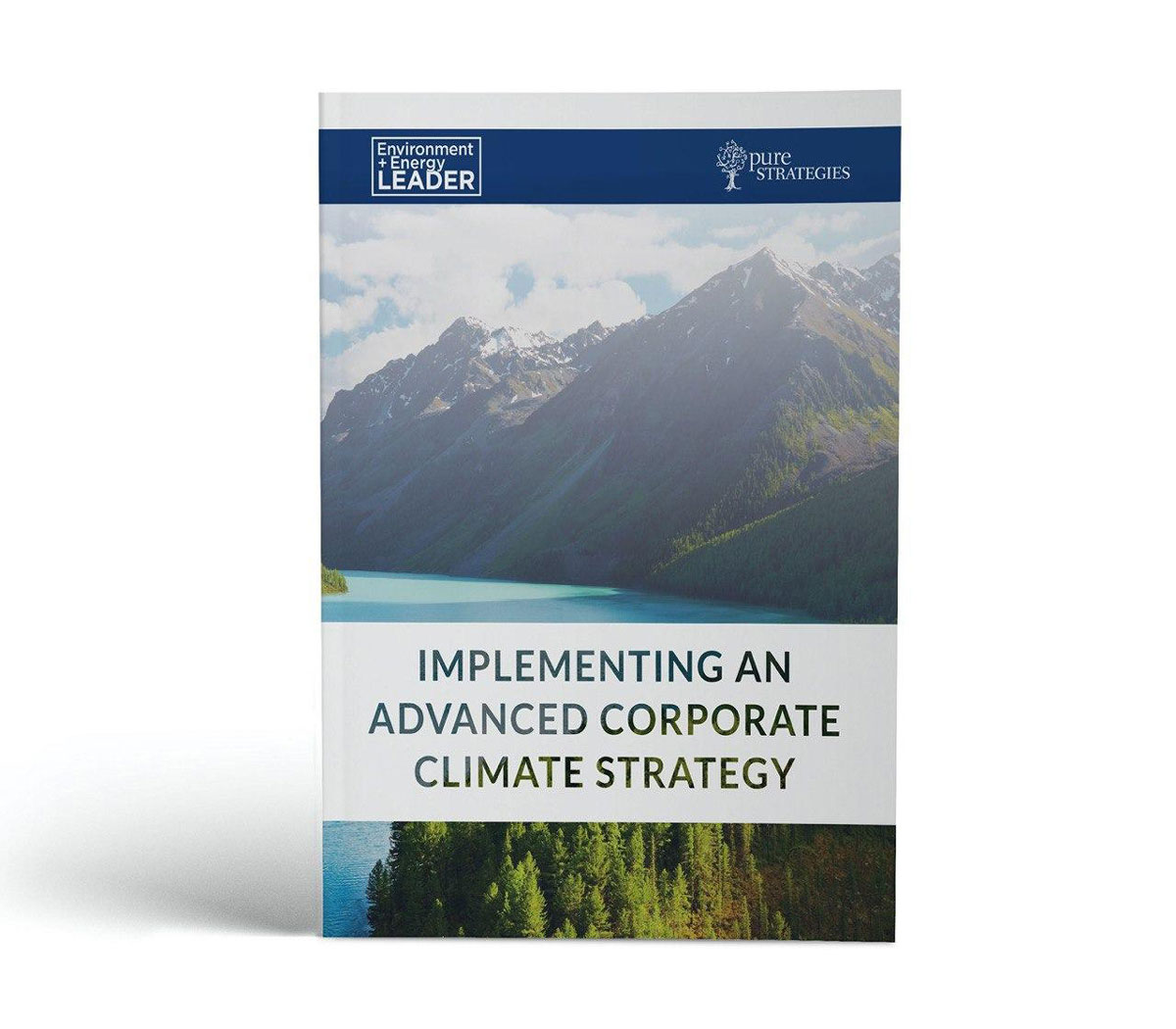 Implementing An Advanced Corporate Climate Strategy Pure Strategies