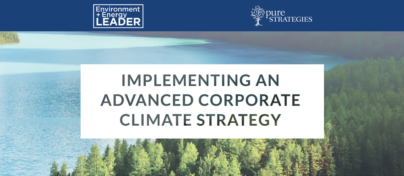 Implementing an Advanced Corporate Climate Strategy - Pure Strategies
