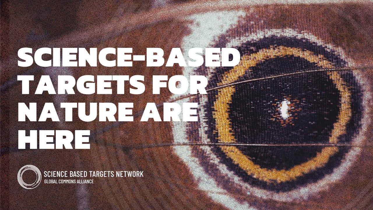 Science Based Targets Network Launches First Guidance for a Net-Zero, Nature-Positive Future ...