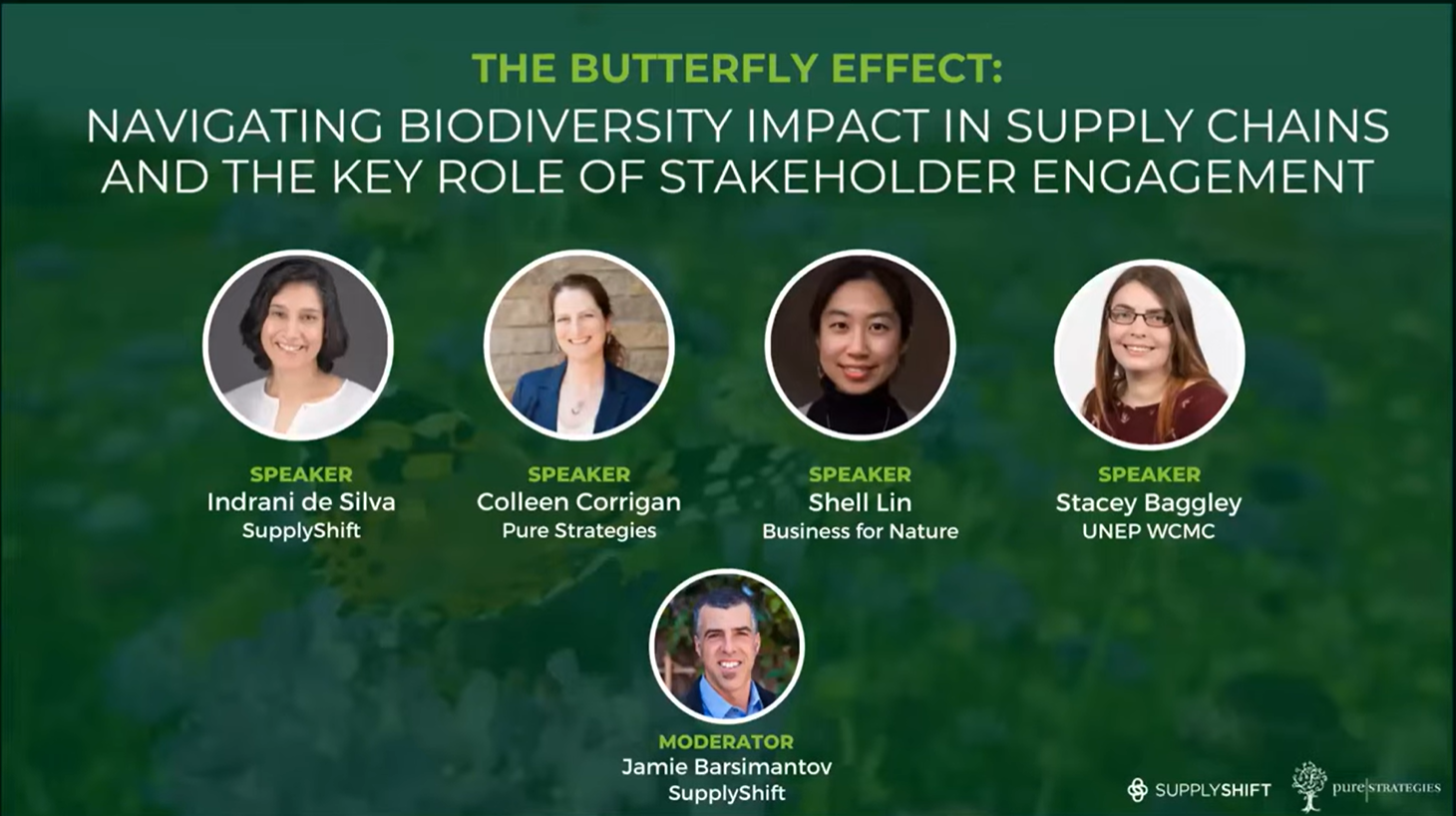 The Butterfly Effect: Navigating Biodiversity Impact in Supply Chains ...