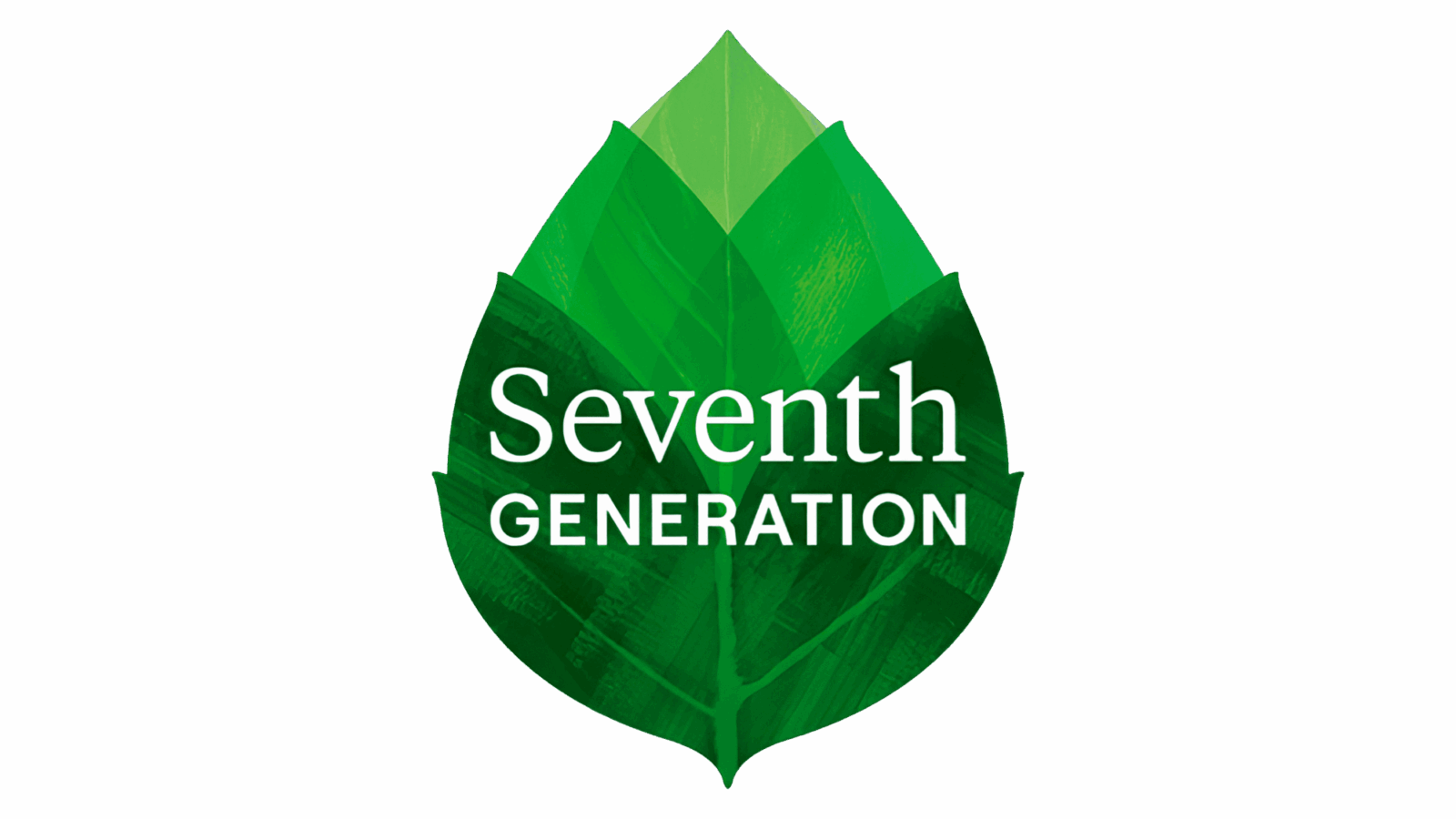 Seventh Generation: Aspirations and Targets - Pure Strategies