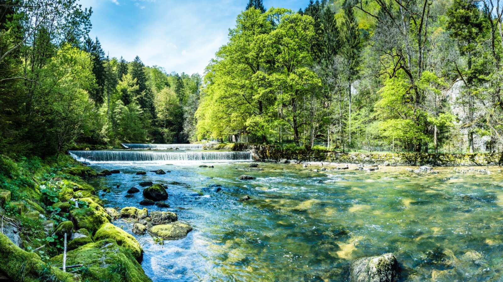 Nature Navigator Provides a Practical Way to Connect Existing Work to ...