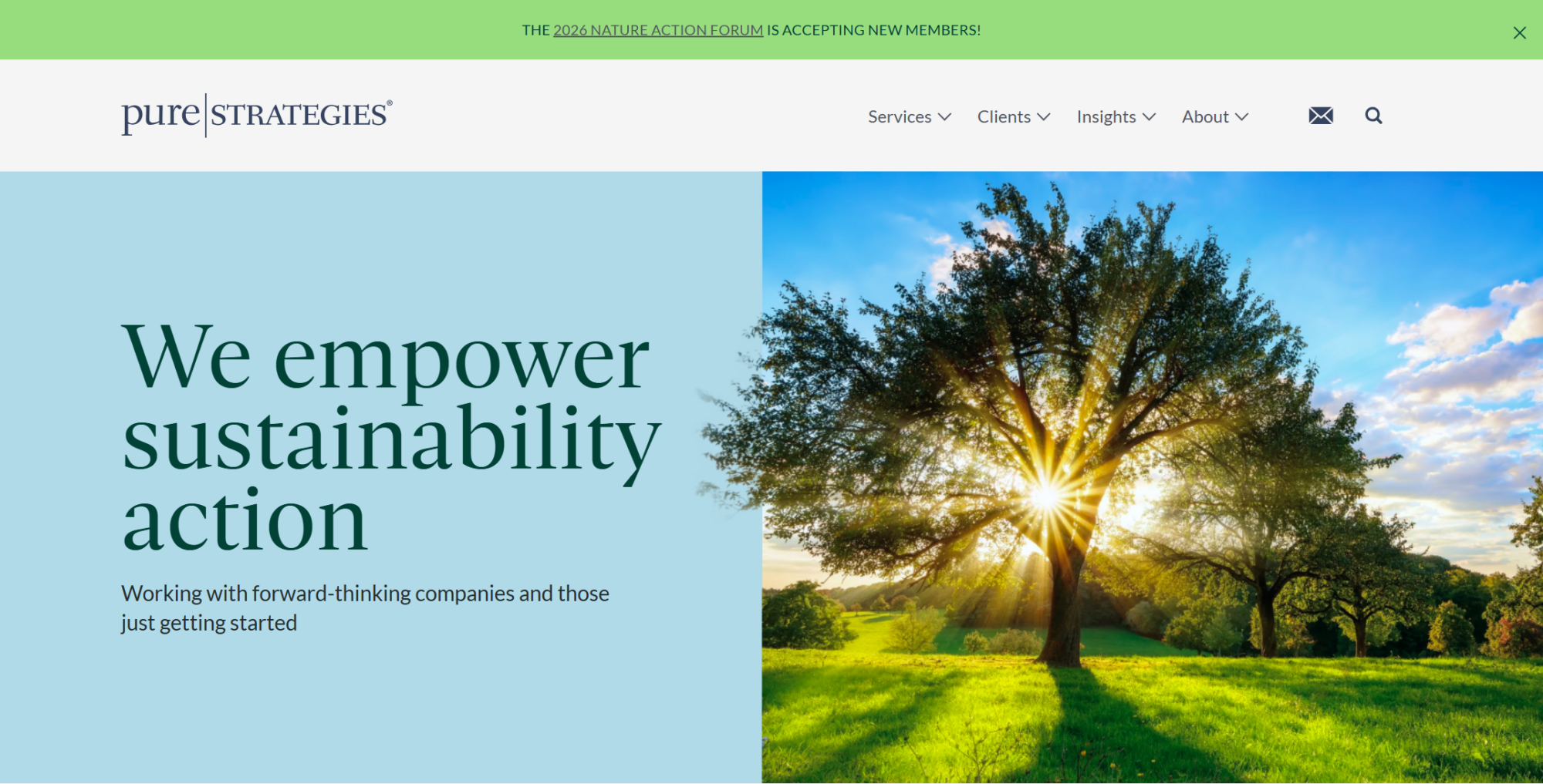 Pure Strategies Launches New, More Sustainable, Accessible Website ...